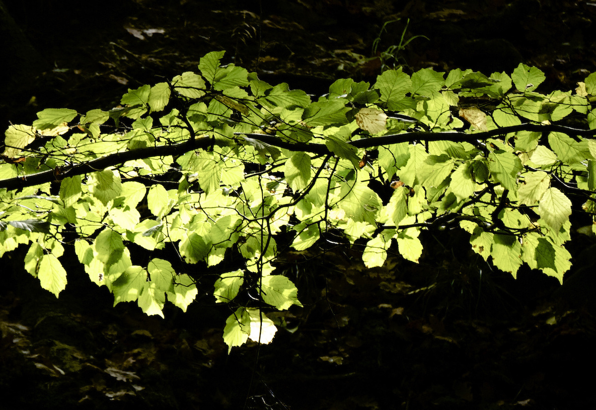 John Percival Building, Cardiff University | ESRC Wales Doctoral ...